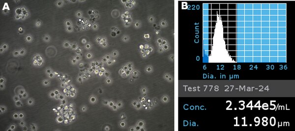 Jurkat JE6.1 NF-kB::eGFP hTLR5 (human Toll-like Receptor 5) Cell Line ...